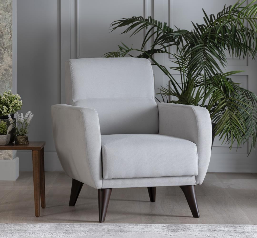 CHAIR IN A BOX-FLEXY W/STORAGE(ZIGANA LIGHT GRAY) - La Cuevita Furniture
